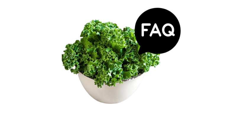 Kale Nutrition Facts, Calories, and Top 9 Health Benefits