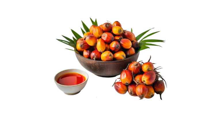 Red Palm Oil Nutrition Facts, Calories, and Top 11 Health Benefits