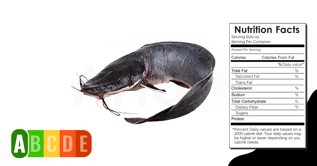 Catfish Nutrition Facts, Calories and Top 12 Health Benefits